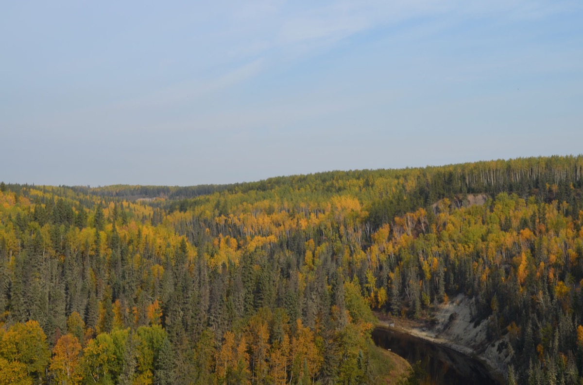 WBEA Annual Report 2020