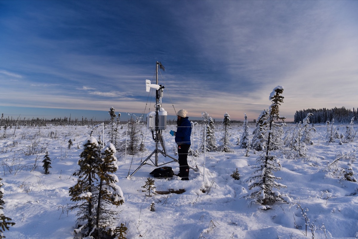 WBEA Annual Report 2020