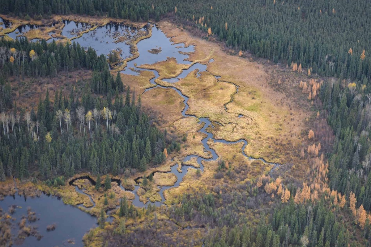 WBEA Annual Report 2020