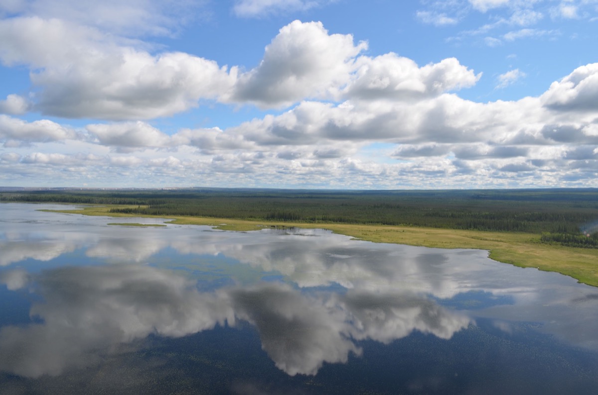 WBEA Annual Report 2021