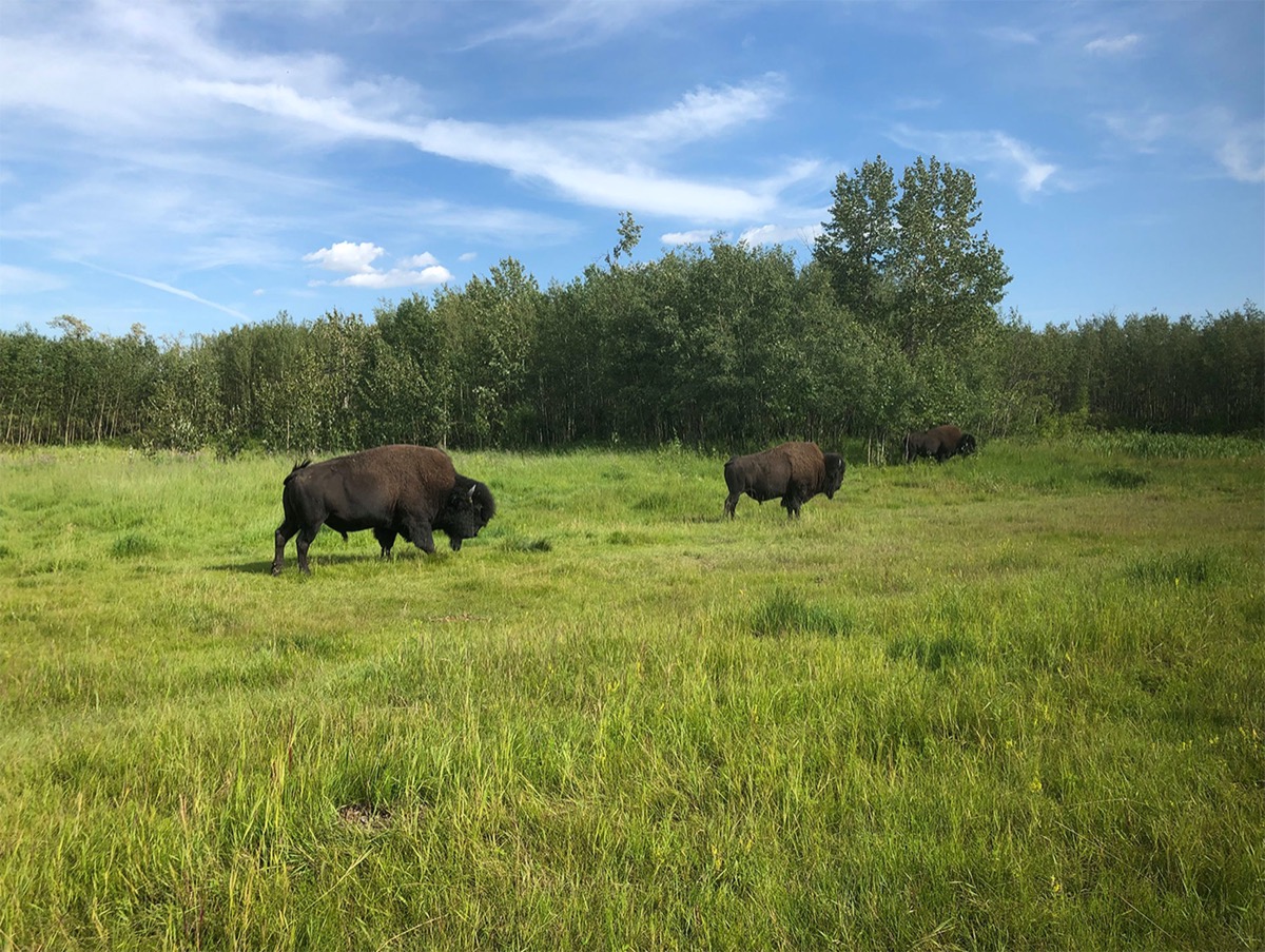 WBEA Annual Report 2021