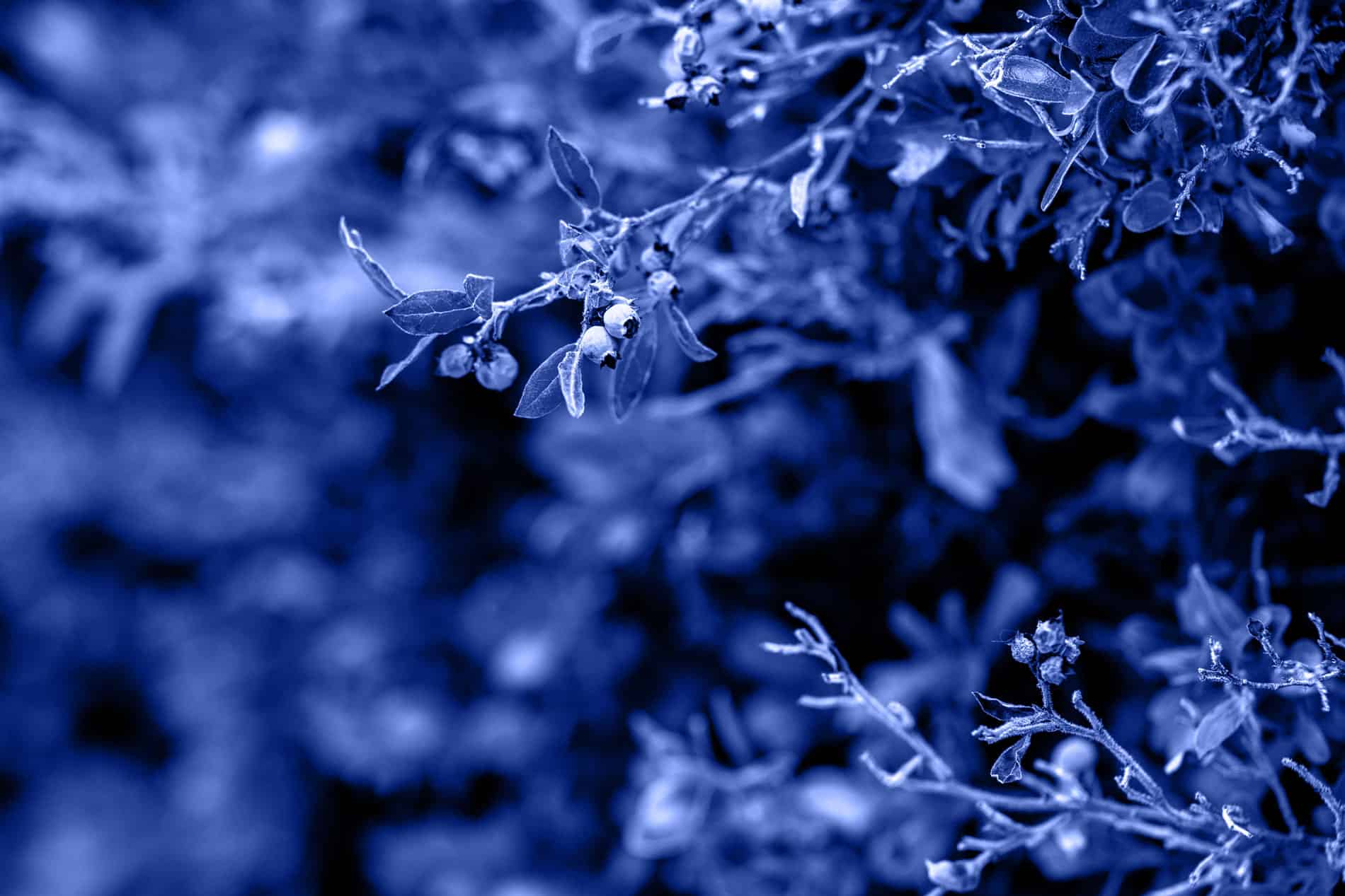 WBEA Annual Report 2022