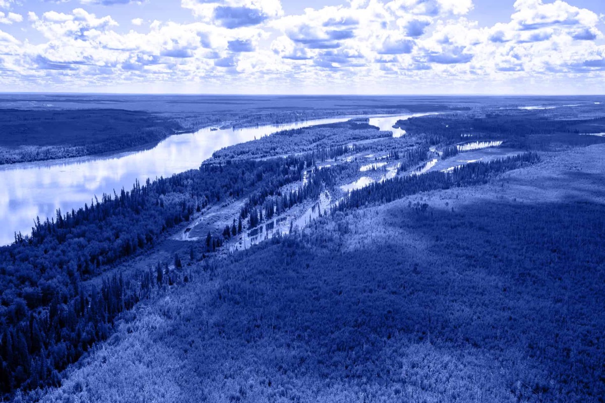 WBEA Annual Report 2022