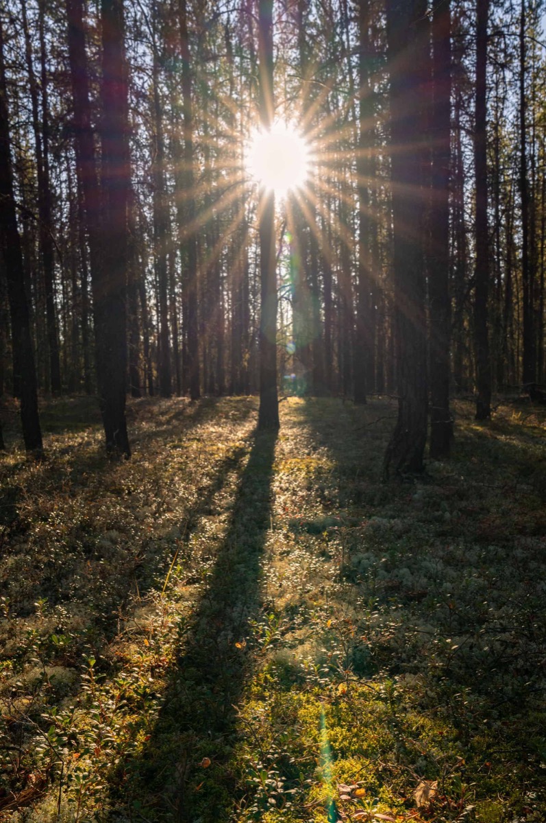 WBEA Annual Report 2022