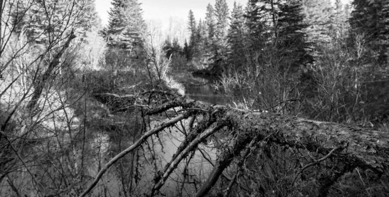 Monitoring Programs - Wood Buffalo Environmental Association