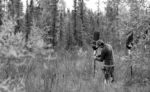 Careers at the WBEA - Wood Buffalo Environmental Association